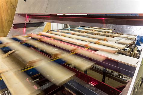 Word Of Mouth On Sexton Lumber Tigercat