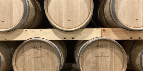 Las Funciones Del Abogado Interno In House Almac N De Derecho