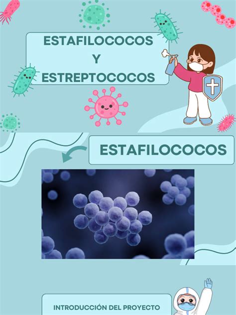 Estafilococos Y Estreptococos Sección 02 20250907 193719 0000 Pdf
