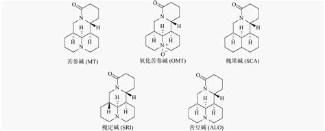 宁夏苦豆子主要活性成分及治疗肝脏疾病的研究进展