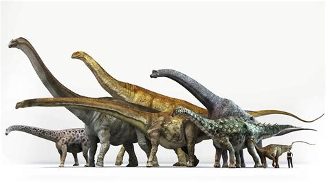 Sauropod Size Comparison
