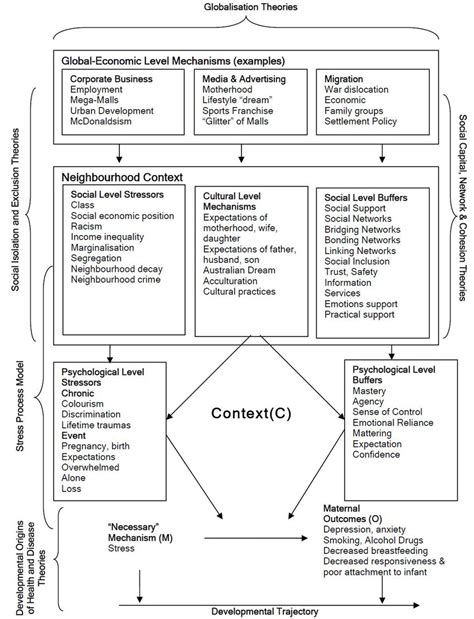 Conceptual Framework Of Maternal Depression Stress And Context