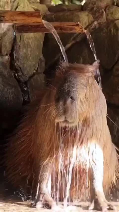 I Watched Morbius On Netflix Its So Bad Like So Fucking Bad Heres