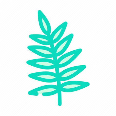 Chamaedorea Tropical Leaf Plant Palm Jungle Icon Download On