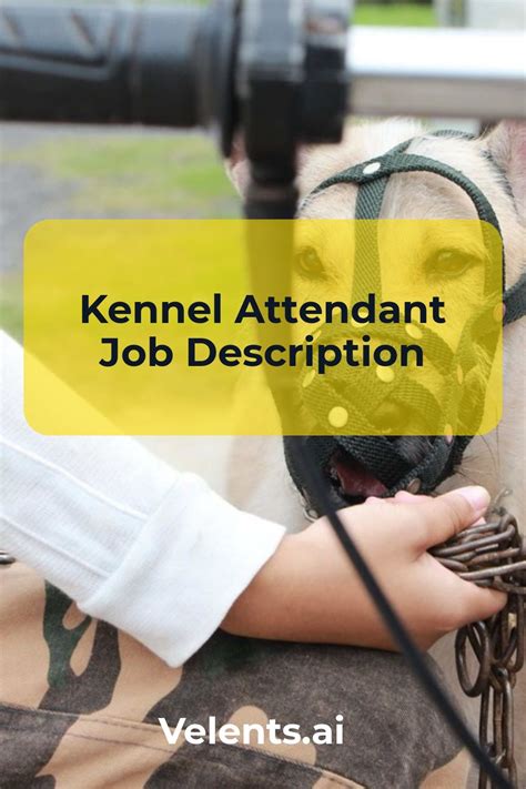 Kennel Attendant Job Description Job Description Assistant Jobs