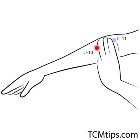 6 Useful Pressure Points On The Forearm That You Do Not Want To Miss