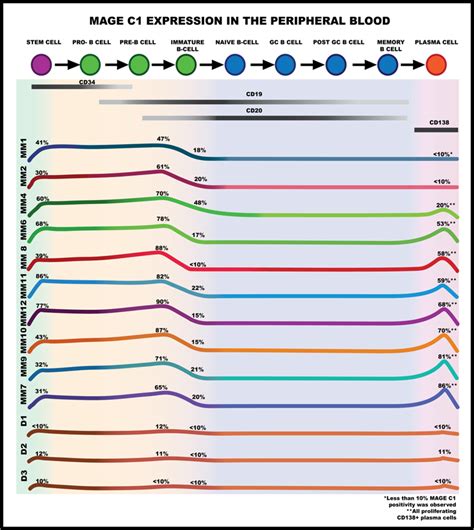 Schematic Representation Of The Co Expression Of B Cell Maturation