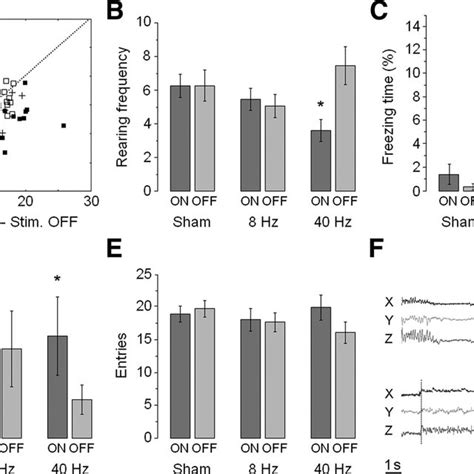 Dorsal Hippocampal Local Field Potentials Lfp Recordings