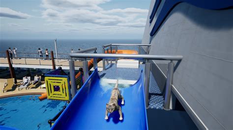 Ships Cat Review Im Feline A Little Seasick