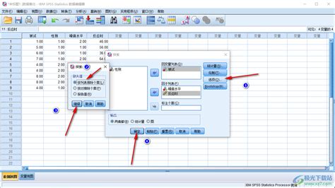 Spss如何进行两独立样本方差齐性检验？ Spss进行两独立样本方差齐性检验的方法 极光下载站