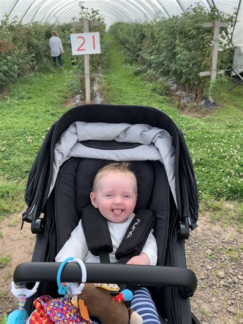 Jamie Ormiston Jamieoed Twitter