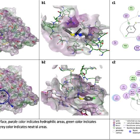 Percentage Hyperchromism And Hypsochromic Shift Of Compound 2b And 3a
