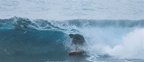 Conociendo A Los Gauchos Del Mar Surf En La Antártica Ambientalismo