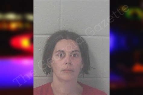 Rachel Ayers — Newton County Jail Bookings