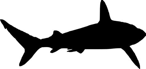 Great White Shark Silhouette Clip Art Shark Silhouette Png