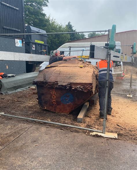 We Also Sell Timber For Milling This Maple Biomass Ltd