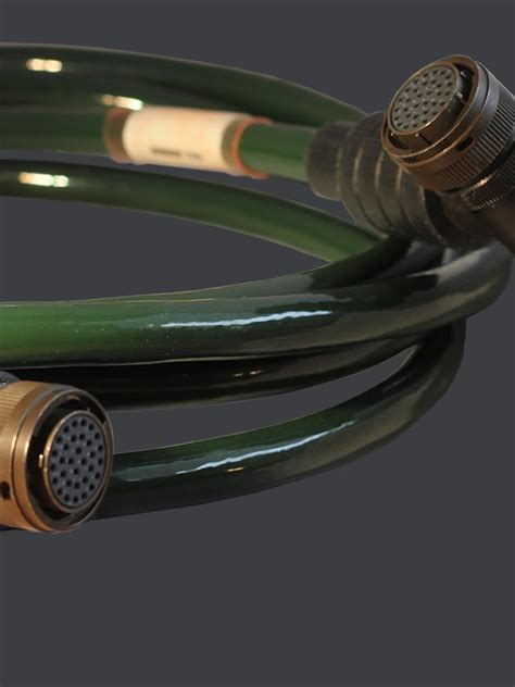 Eg Electronics Cable Assembly