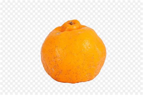 柑子特写png图片素材下载图片编号8915347 Png素材网