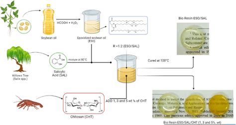 Flowchart Illustrating How Esosalcht Bio Resins Were Obtained