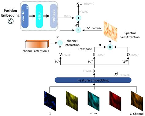 Multi Scale Cnn Transformer Dual Network For Hyperspectral Compressive