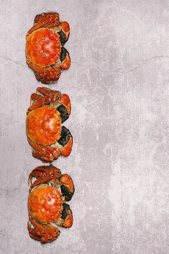 찐 게 게 껍질 중국 장갑 게 게 발톱 중국 털게 게 털이 게 푸른 게 상하이 털게 흰색 배경에 중국 게 참게에 대한 스톡 사진 및 기타 이미지 Istock