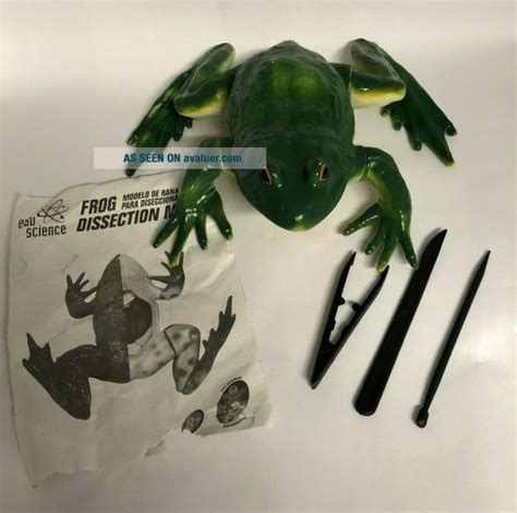 Edu Science Frog Dissection Model Homeschool Online School Teacher Biology 33553822