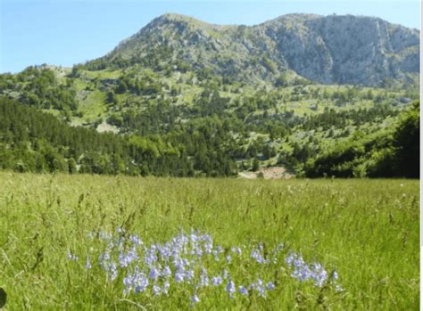 Nëntoka E Munellës Depo E Nëndheshme E Arit Dhe Argjendit