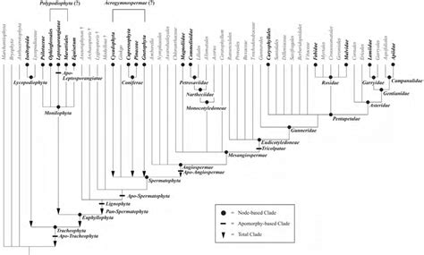 Embryophyte Land Plant Phylogenetic Hypothesis Showing The 53 Download Scientific Diagram