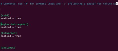 如何在 Linux 中使用 Fail2ban 保护您的服务器