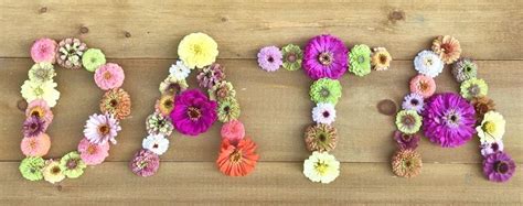 Data And Analytics A Crash Course Rooted Farmers Blog