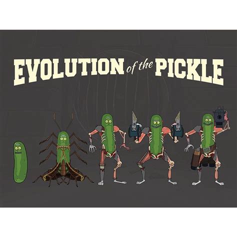 Rick And Morty Evolution Of The Pickle Ready Framed Canvas
