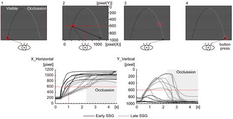 Neural Dynamics Of Strategic Early Predictive Saccade Behavior In