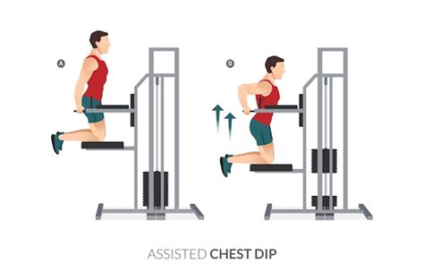 Premium Vector Assisted Chest Dip Men Gym Workout Fitness Aerobic