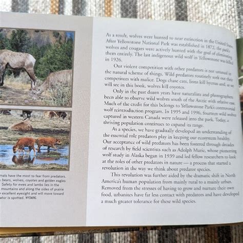 Predators Of North America By Dave Taylor