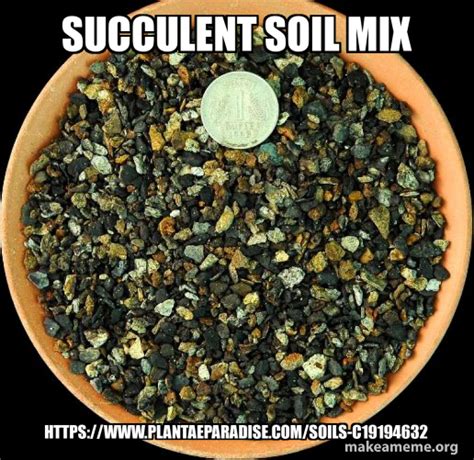 Succulent Soil Mix Soils C19194632