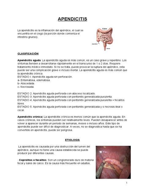Apendicitis Pdf Especialidades Medicas Medicina Clinica