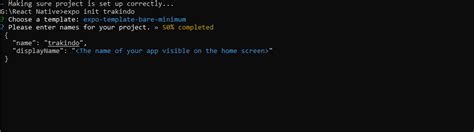 Nodejs When I Run Expo Init My App I Cant Build A Project With