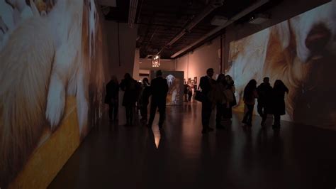 84 Projection Mapping Ideas Projection Mapping Installation Art