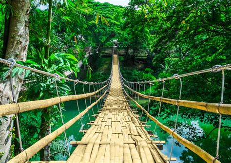 The 10 Best Bamboo Hanging Bridge Sevilla Tours And Tickets 2020 Bohol