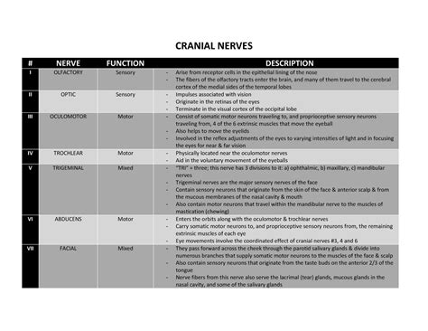 Nervous Supp Cranial Nerves Warning Tt Undefined Function 22 Warning Tt Undefined