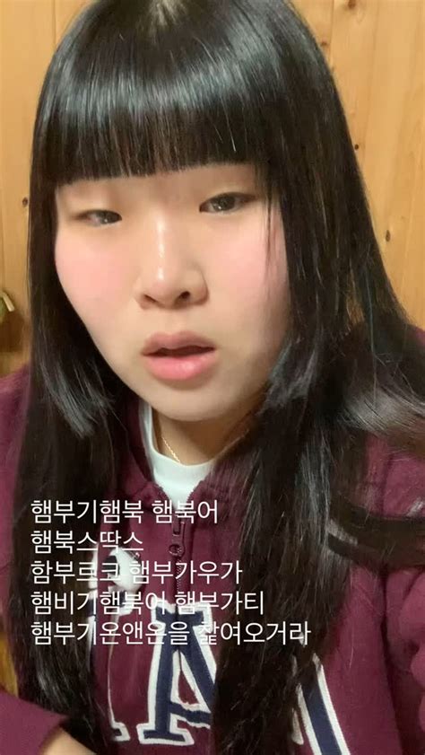 춤추는 토냥이 대본 없음 암기핑👍🏻 햄부기햄북햄북어햄북스딱스함부르크햄부가우가햄비기햄부거햄부가티햄부기온앤온을차려오거라 Instagram