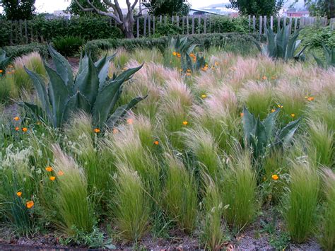Pin By April Mcanespy On Landscape Ideas Mediterranean Garden Design