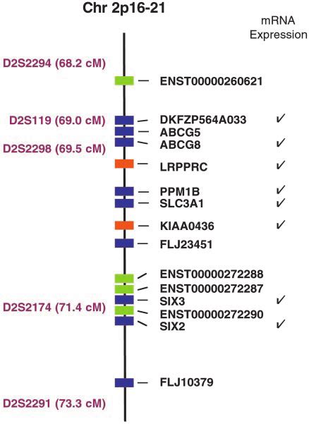Physical Map Of The Lsfc Candidate Region Human Genome August 2001 Download Scientific