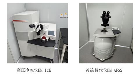 应用培训报名（2025年度第17期） 高压冷冻仪and冷冻替代仪（东校园） 中山大学分析测试中心