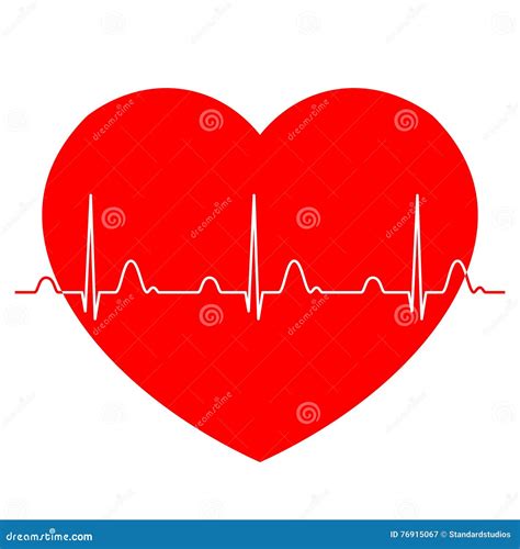 Normal Electrocardiogram Ekg Ecg With Heart In The Middle Heartbeat