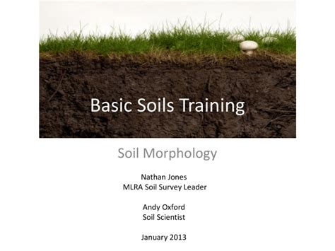 Soil Morphology