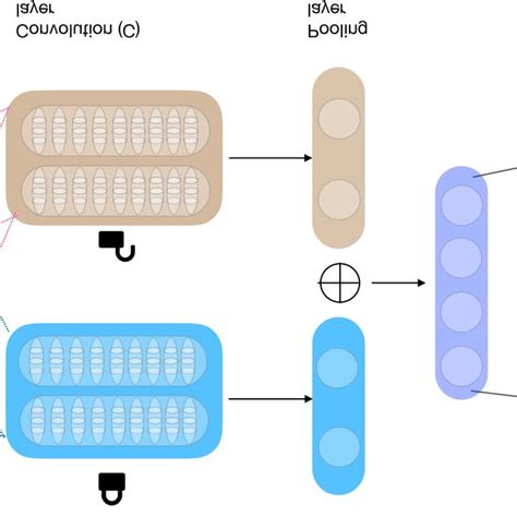 Transfer Diagram Of Step 4 Download Scientific Diagram