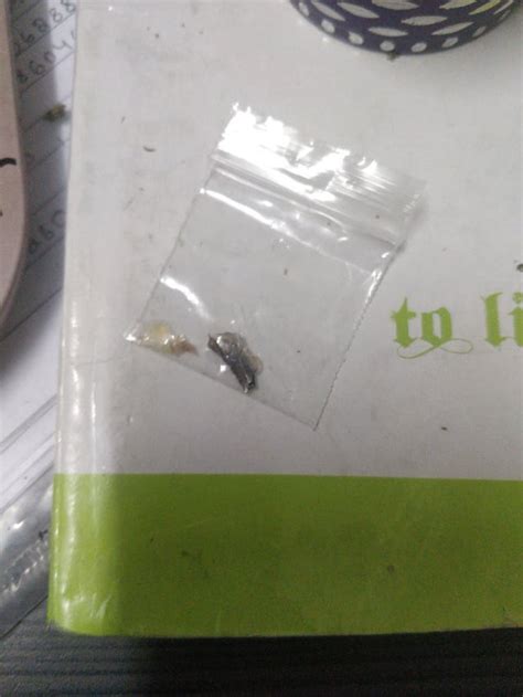 Got Some 5meo Dmt Buff Toad Venom How Do I Take It I Dont Have A Crack