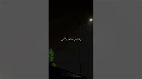 قران كريم عبدالرحمن مسعد ويجعلون لله البنت سبحنه Youtube