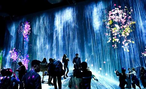 Tokyo Digital Art Museum Teamlab Borderless Entry At Robert Fabry Blog